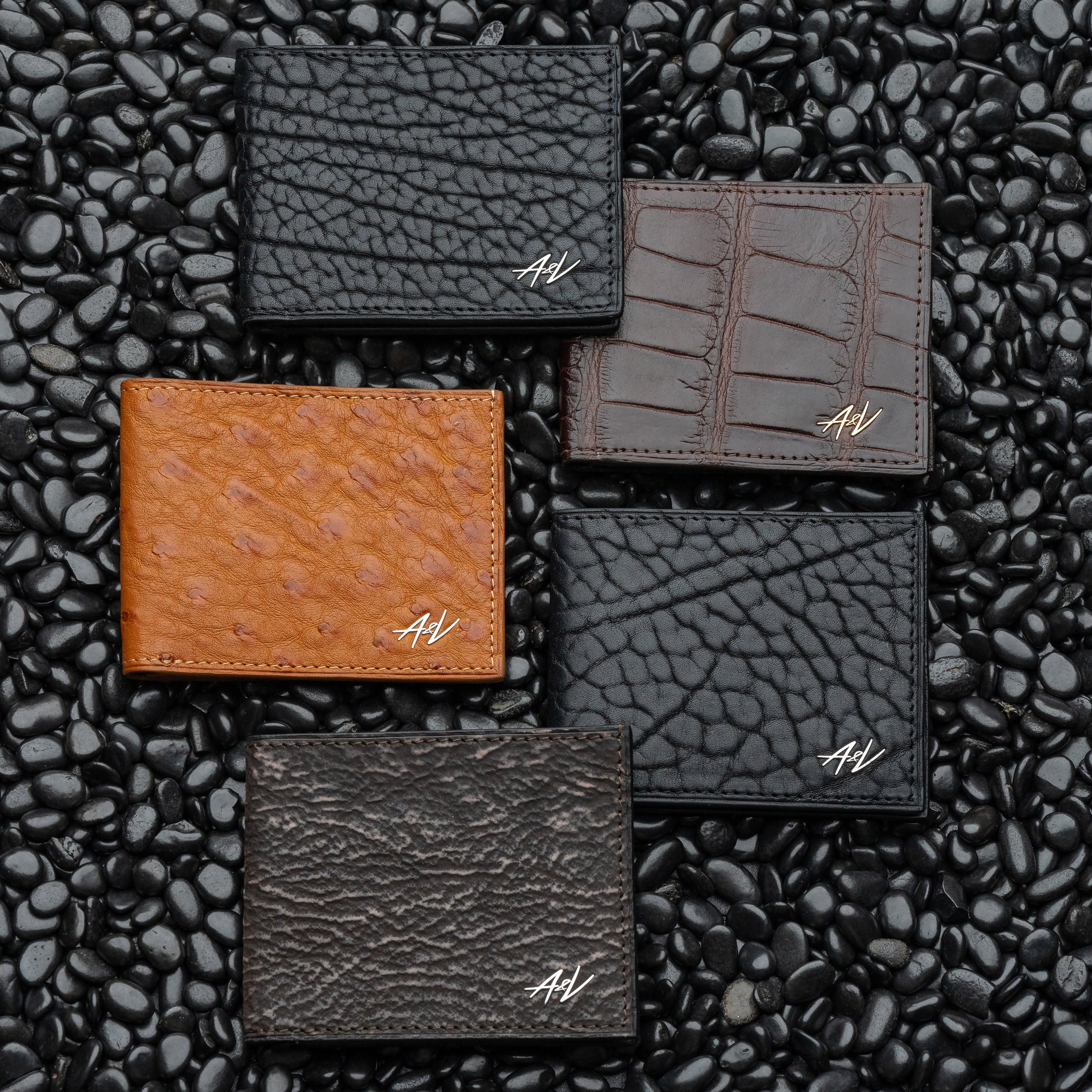 Shark leather wallet buy with discount & delivery - A&V - A&V