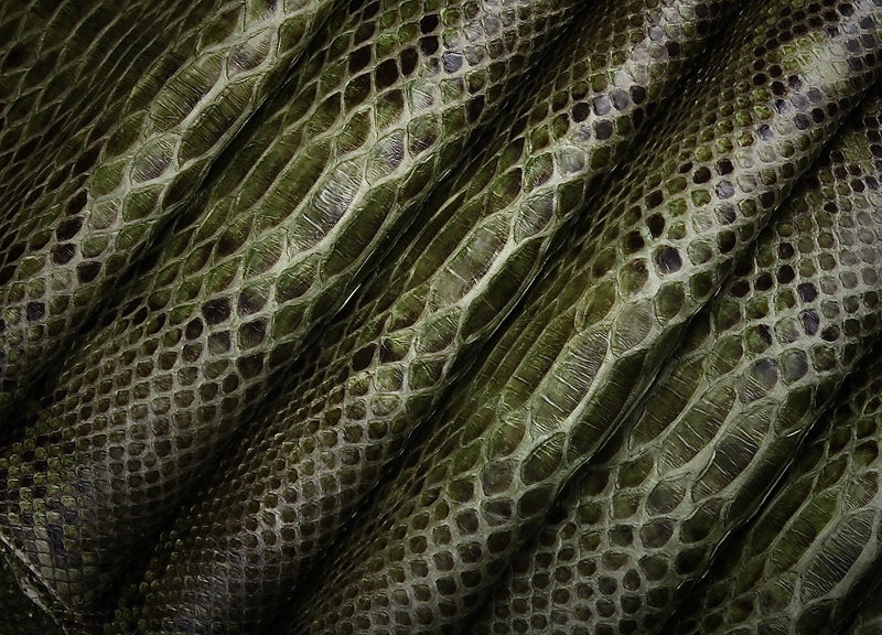 Python Gift Set buy with delivery - A&V